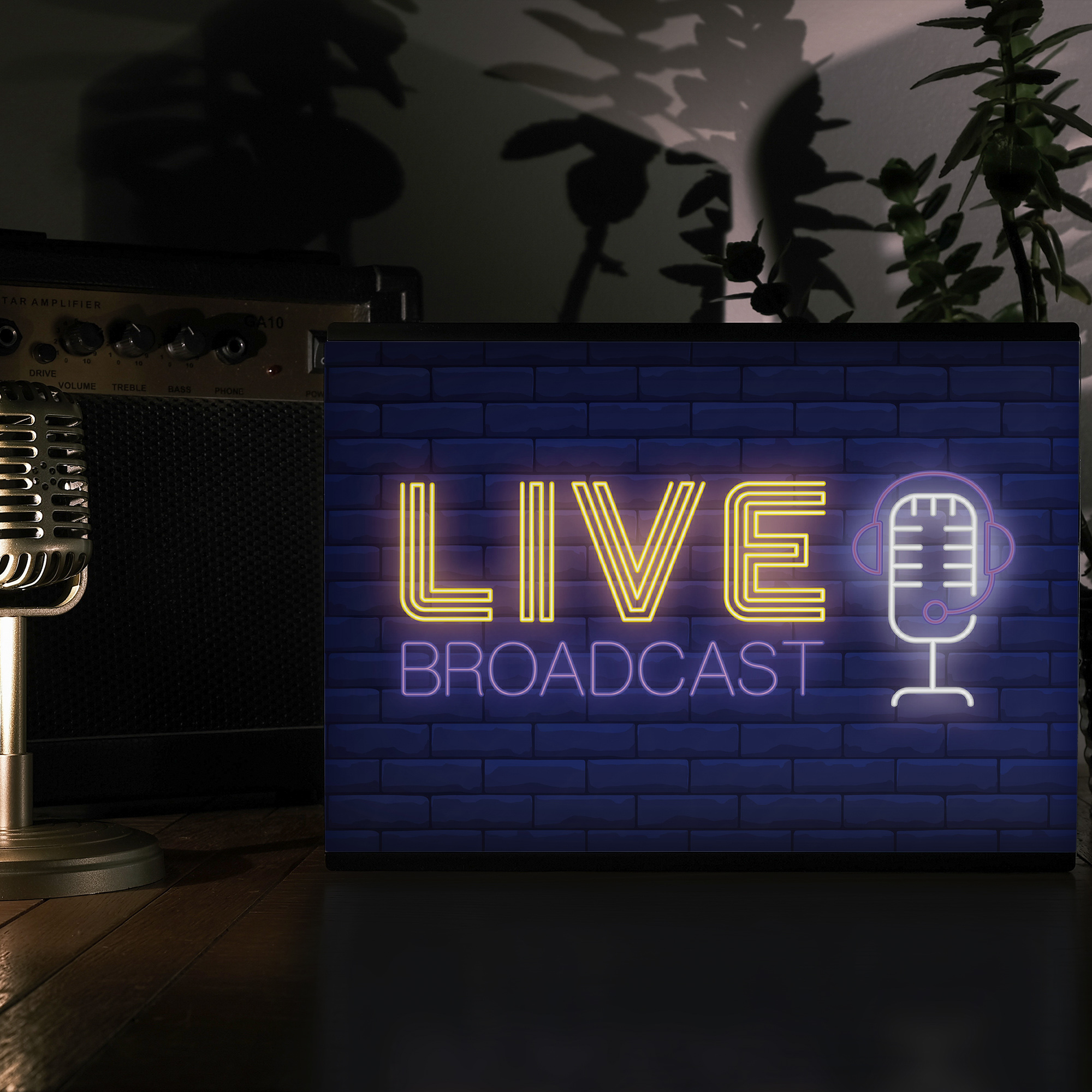 Light Box Room Sign XL Live Broadcast - Personalite